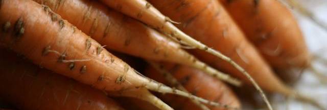 Cuisiner des carottes : 4 idées recettes faciles — crues, cuites ...