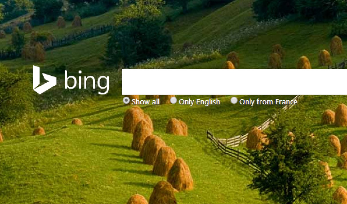 Enfin de réelles ambitions pour Bing en France