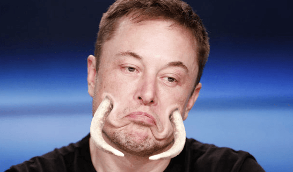 Pourquoi Elon Musk s'est-il renommé Elon Tusk sur Twitter